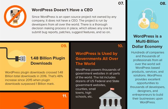 The Insightful Collection Of Infographics About Wordpress With ...