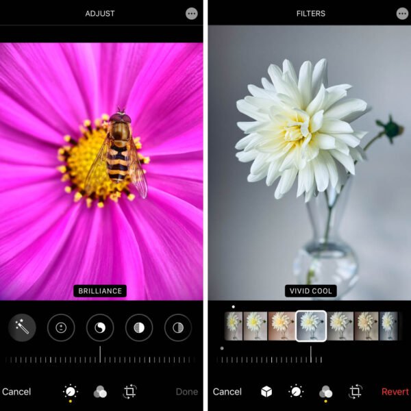 Google Photos AI Photo Editing Lets You Edit Images by Asking ...